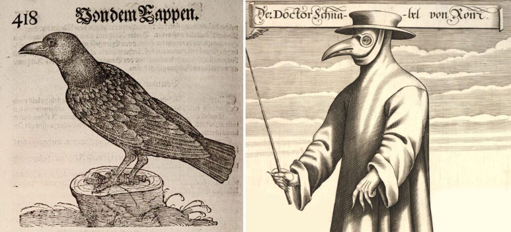 Doctor Schnabel's Plague Museum – Fables, Facts & Fear